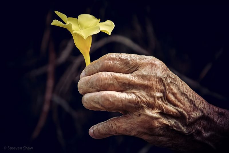 Steeven Shaw - Fine Art Photographer | Artist | Web Dev/Security