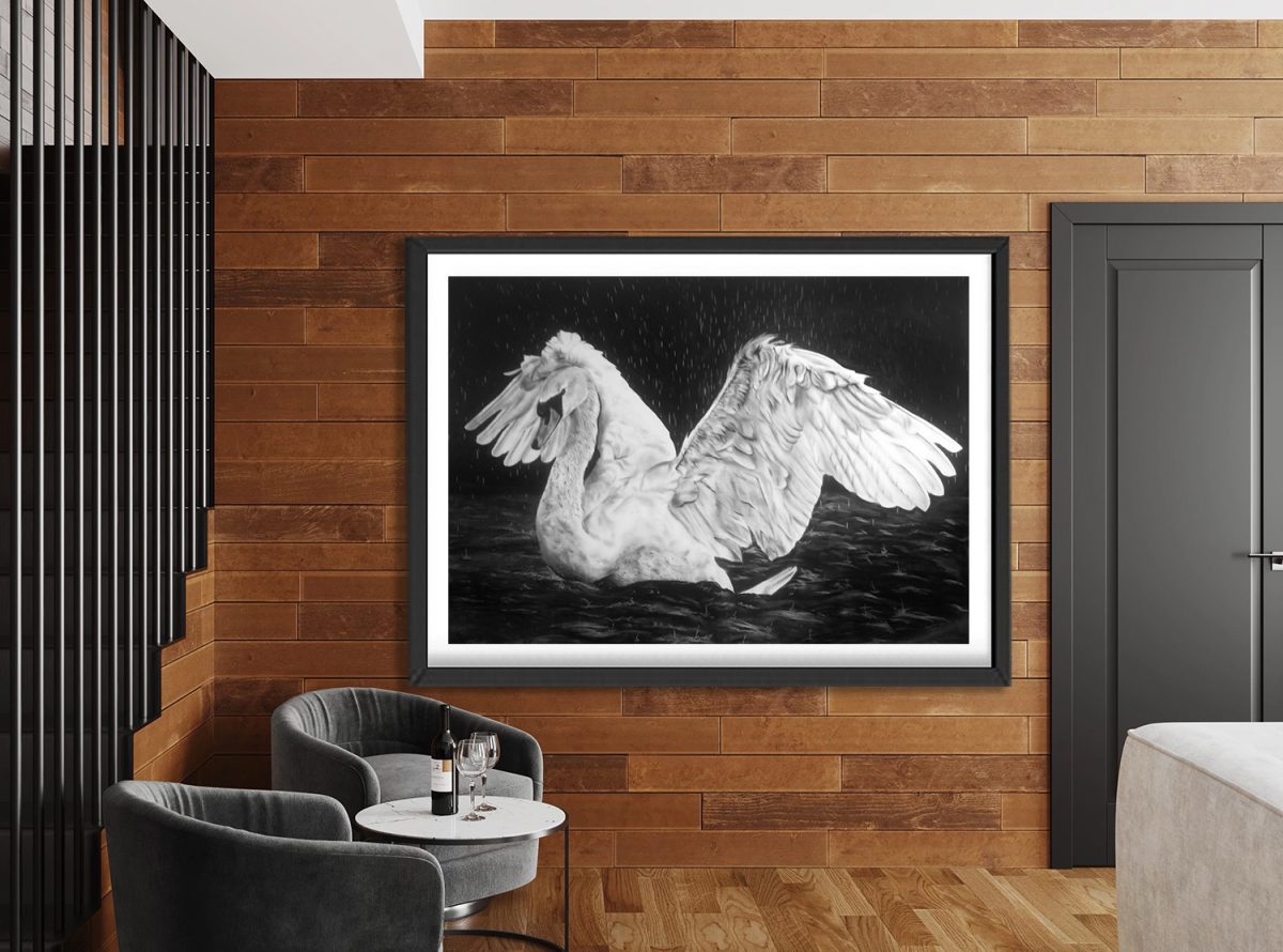 Drawing - Steeven Shaw - Fine Art Photographer | Artist